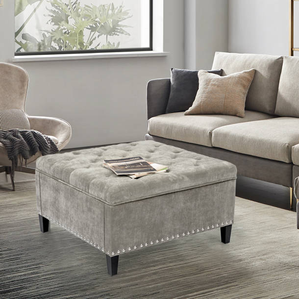 Willa Arlo Interiors Pang Velvet Storage Ottoman And Reviews Wayfair Canada